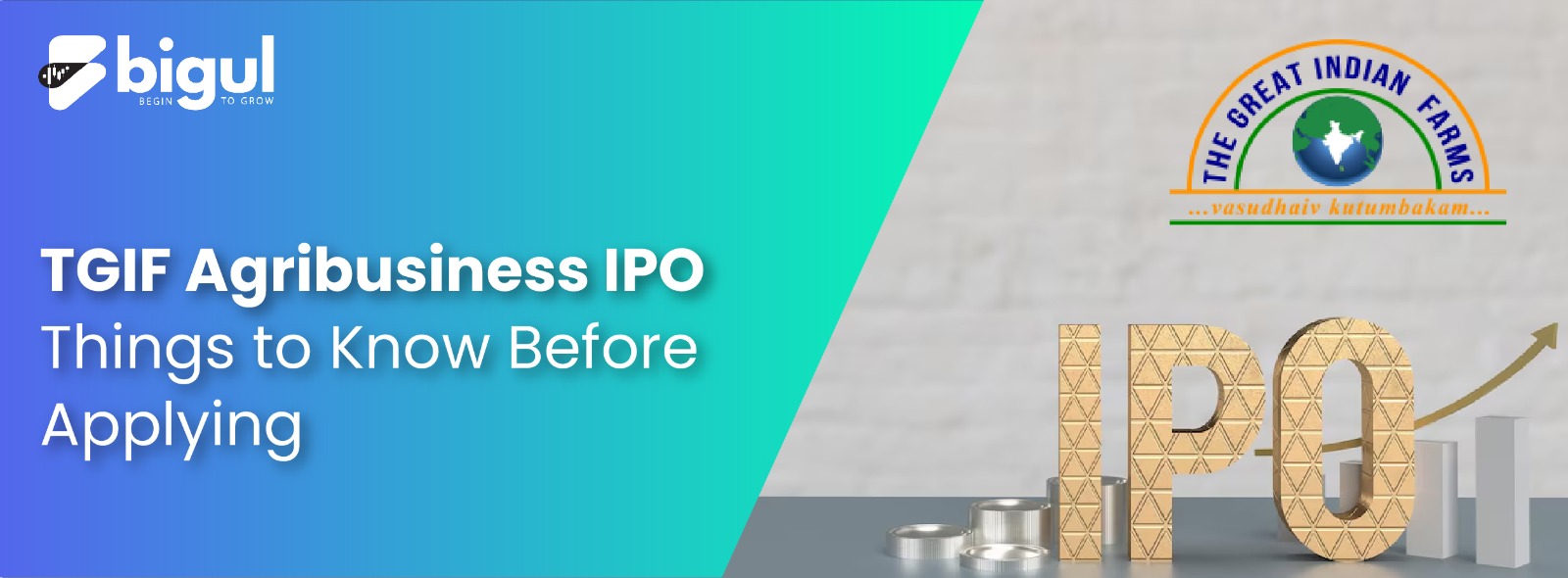 TGIF Agribusiness IPO: Things to Know Before Applying