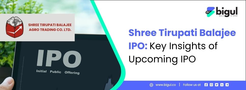 Shree Tirupati Balajee IPO: Key Insights of Upcoming IPO