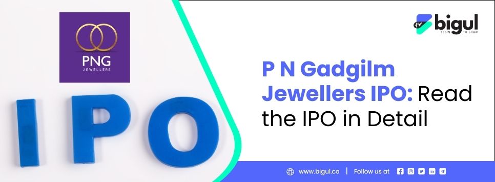 P N Gadgil Jewellers IPO: Read the IPO in Detail