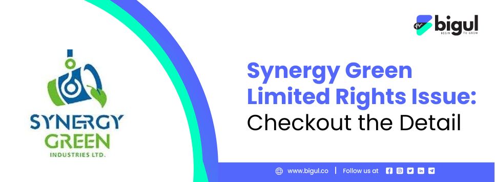 Synergy Green Limited Rights Issue: Checkout the Detail