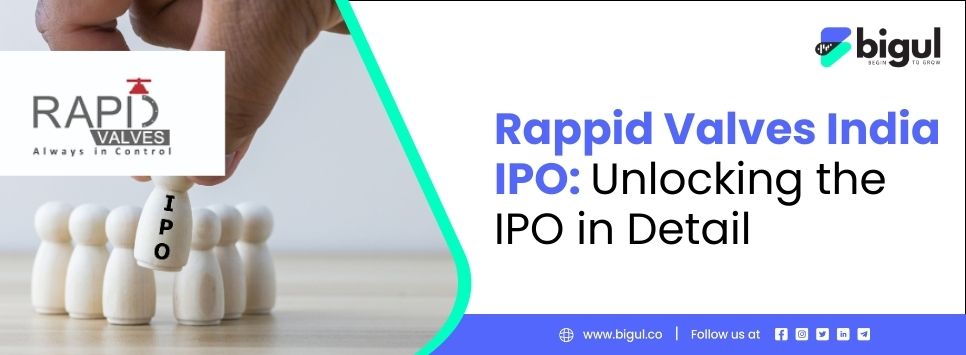 Rappid Valves India IPO: Unlocking the IPO in Detail
