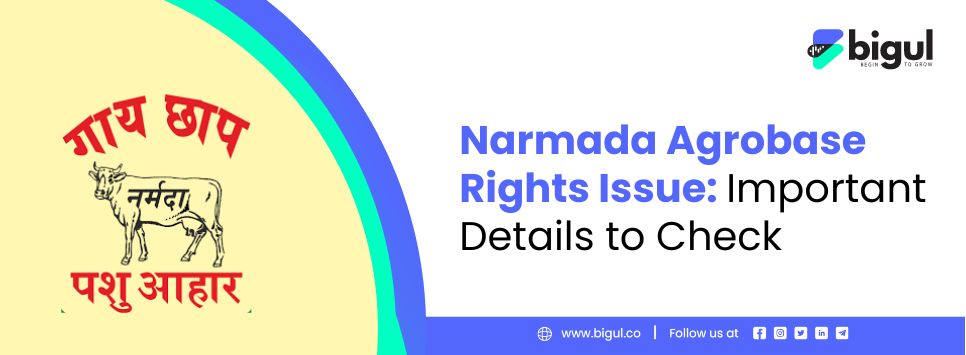 Narmada Agrobase Rights Issue: Important Details to Check